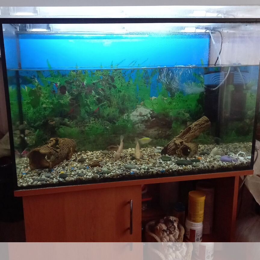 Аквариум с тумбой 150л