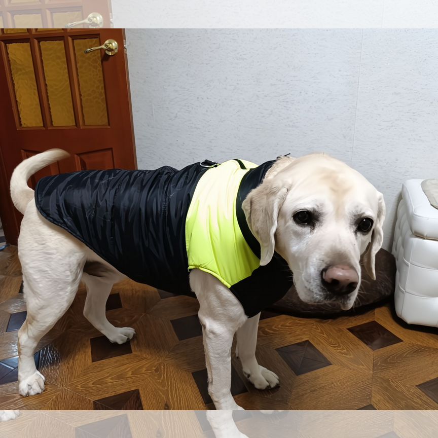 Костюм для собаки до 36 кг