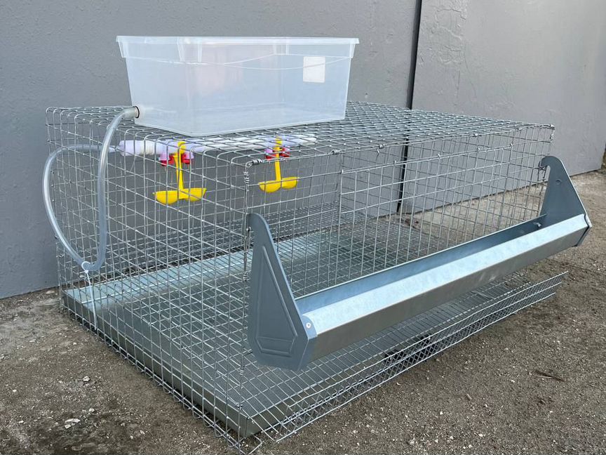 Клетка для домашней птицы на 20-25 голов не бу