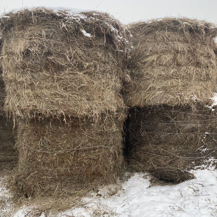 Сено в тюках