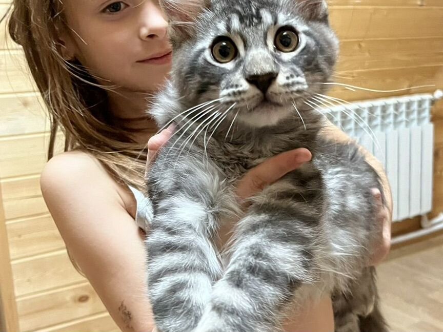 Невероятный ласкун