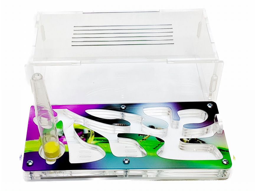 Муравьиная ферма