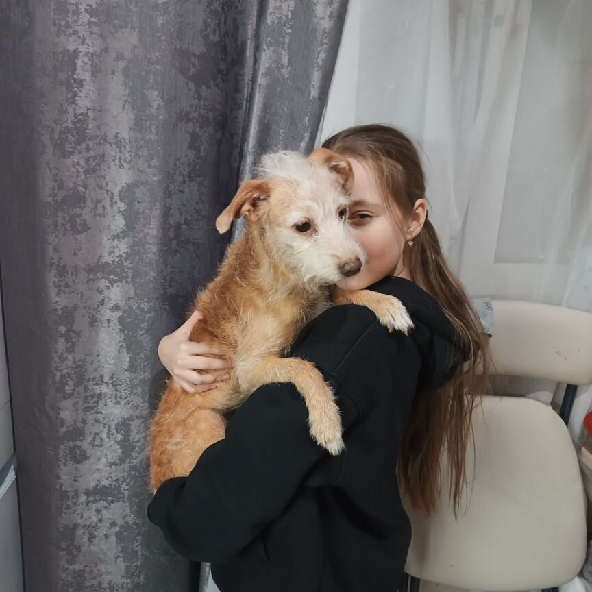 В очень добрые руки