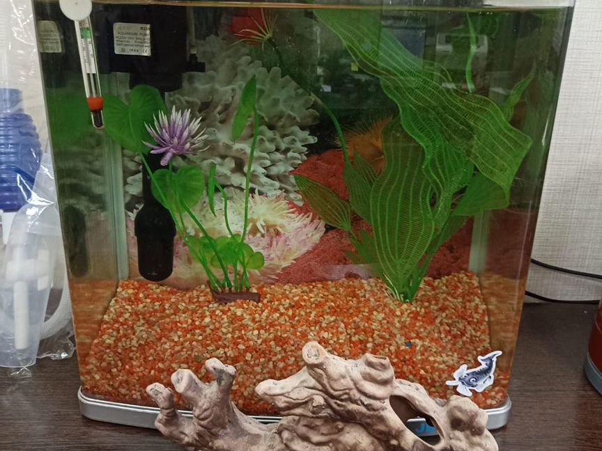 Продам аквариум