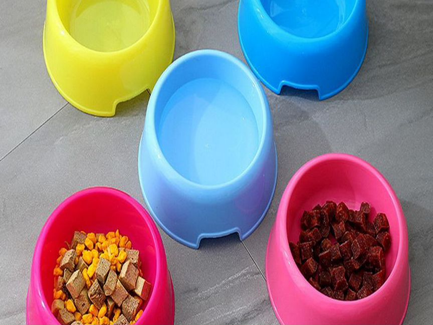 Миска для животных