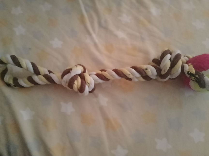 Собачья игрушка