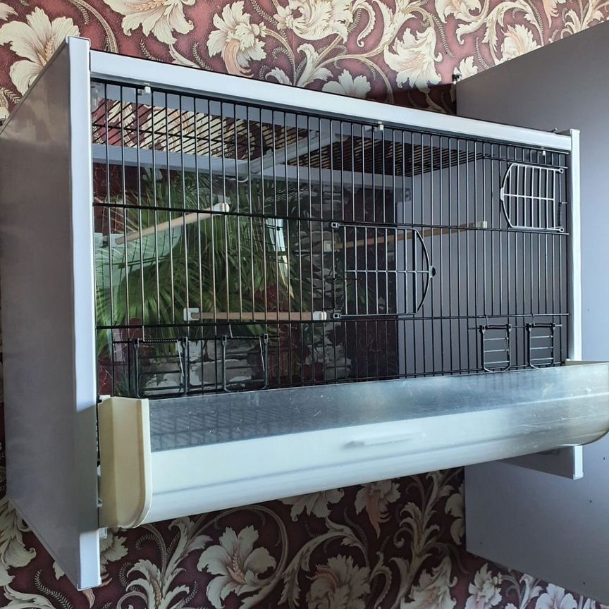 Клетка бокс