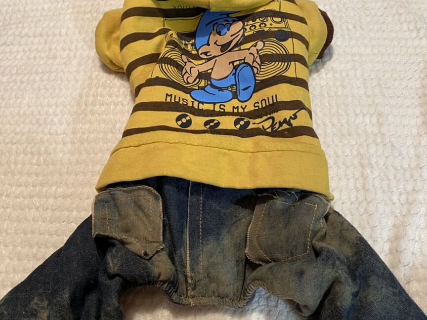 Одежда для собак мелких пород