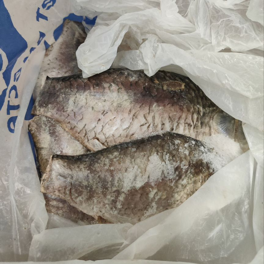Рыба замороженная для животных