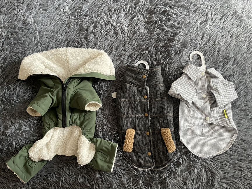 Вещи на собаку мини попод/щенков