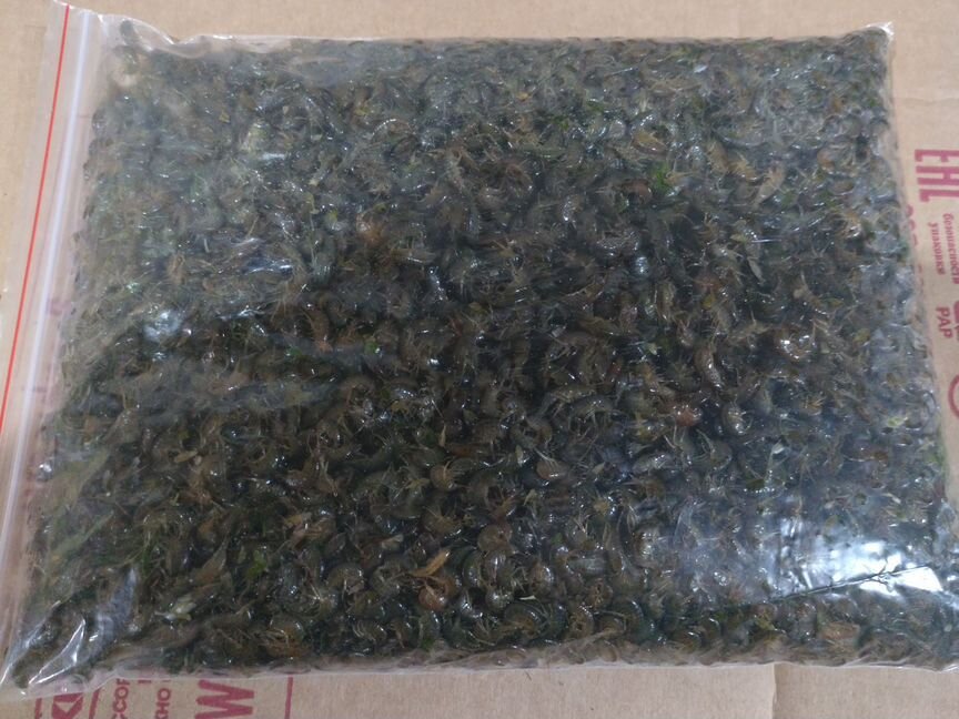 Мормыш мороженый