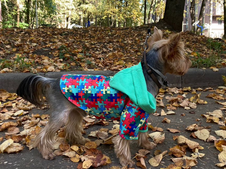 Одежда для собак «Фифа» цены пополам