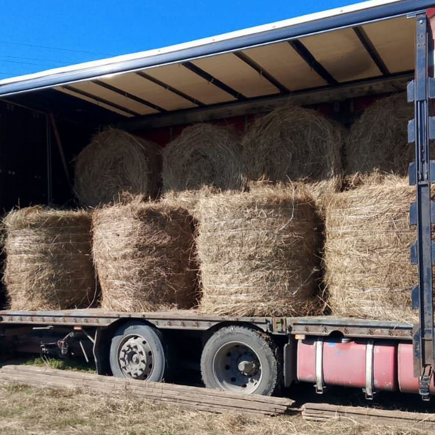 Сено в рулонах