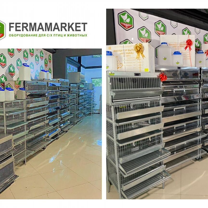 Клетки для перепелов Саки