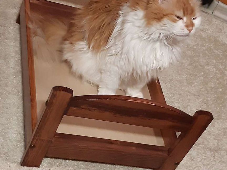 Котокровать
