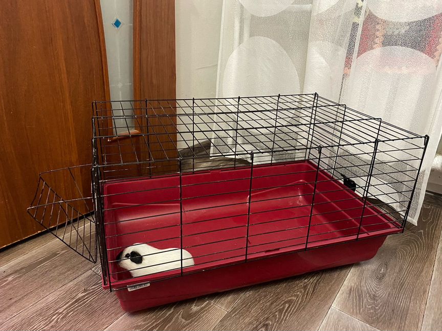 Savic Клетка для грызунов (Бельгия)