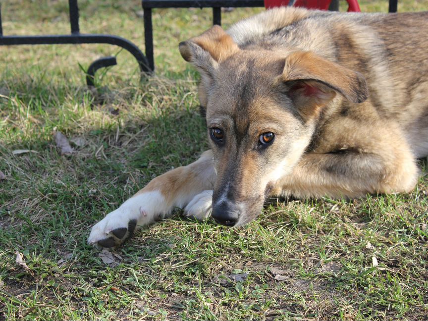 Славная девчушка Малышка 6 мес
