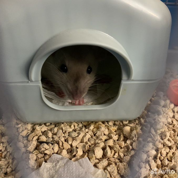 Декоративная краска