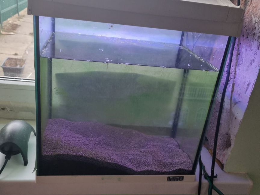 Аквариум тетра 30л