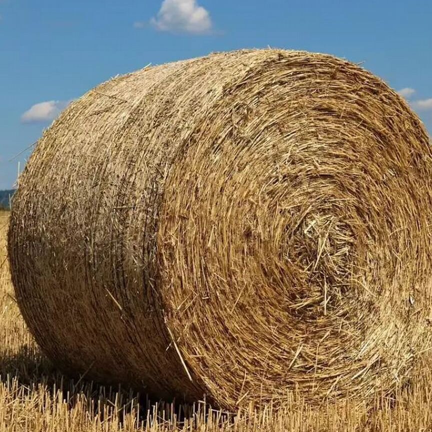 Солома в рулонах