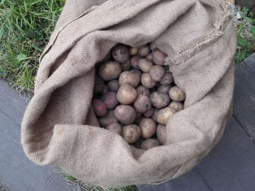 Картофель мелкий