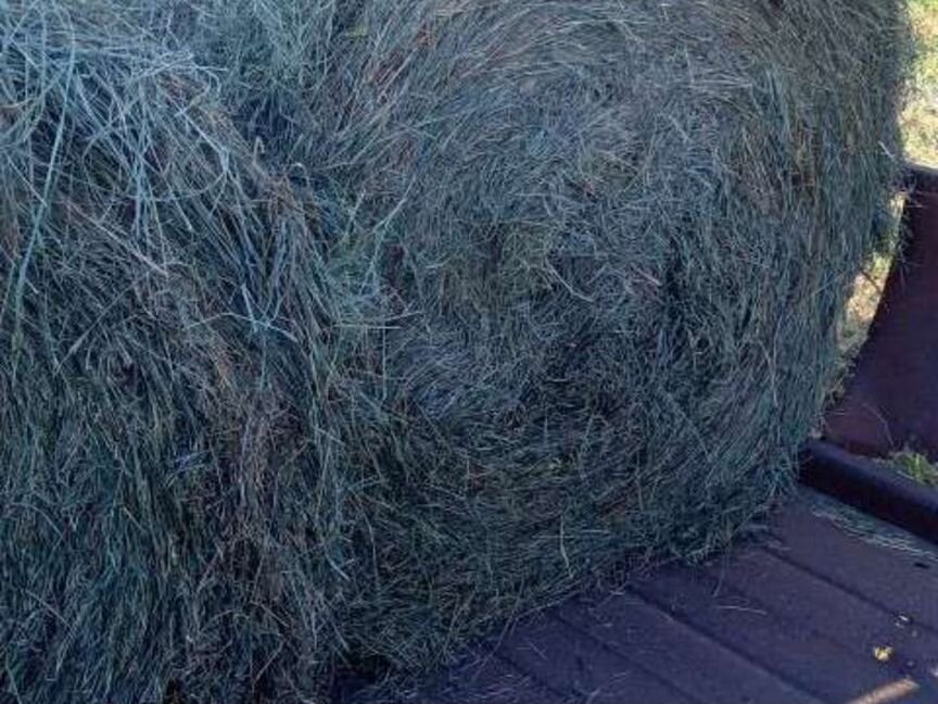 Продам сено в тюках