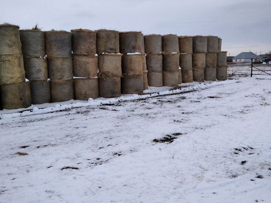 Сено в рулонах