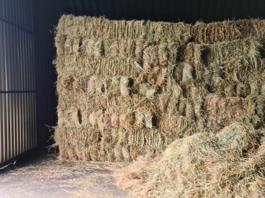 Сено луговое в тюках лучшее в Кагальницком районе