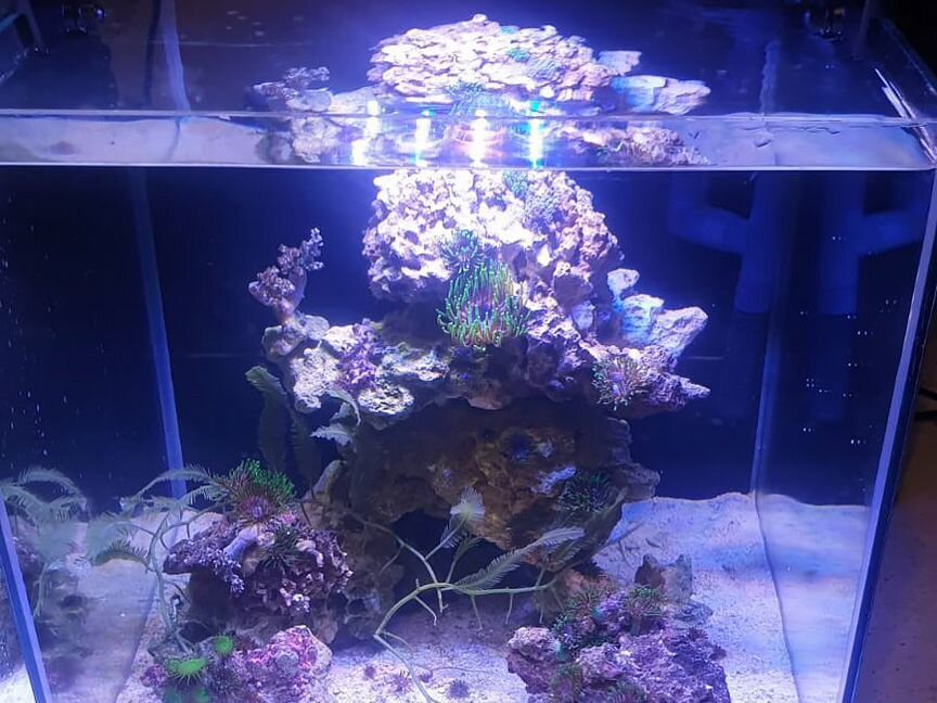 LED светильник 15 Вт для аквариума море/пресноводн