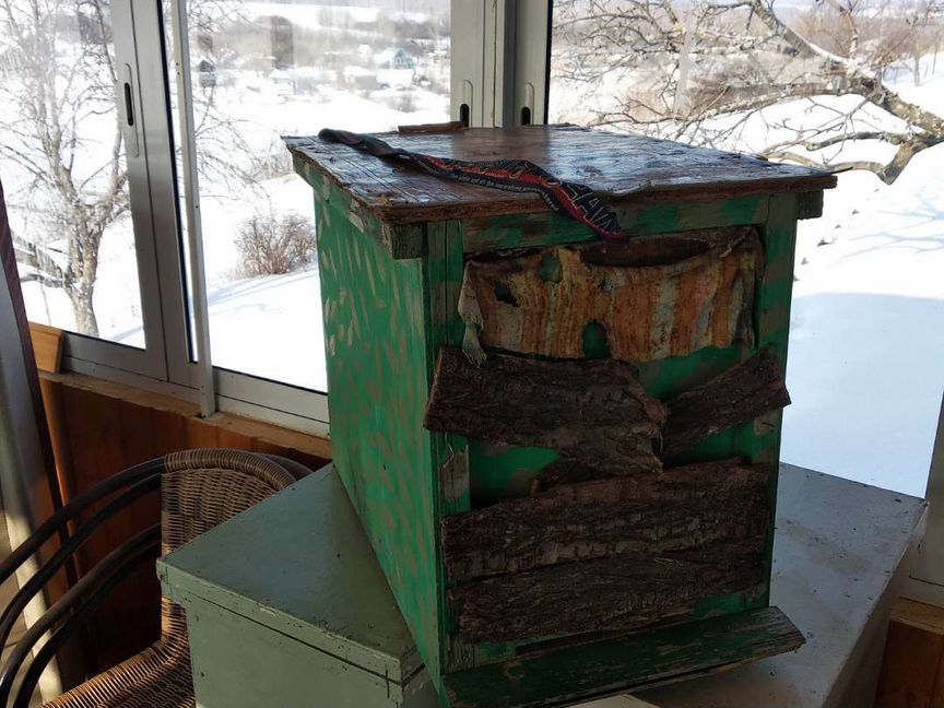 Ловушка для пчел