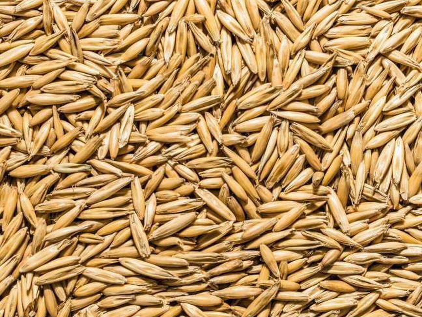 Продам Овес