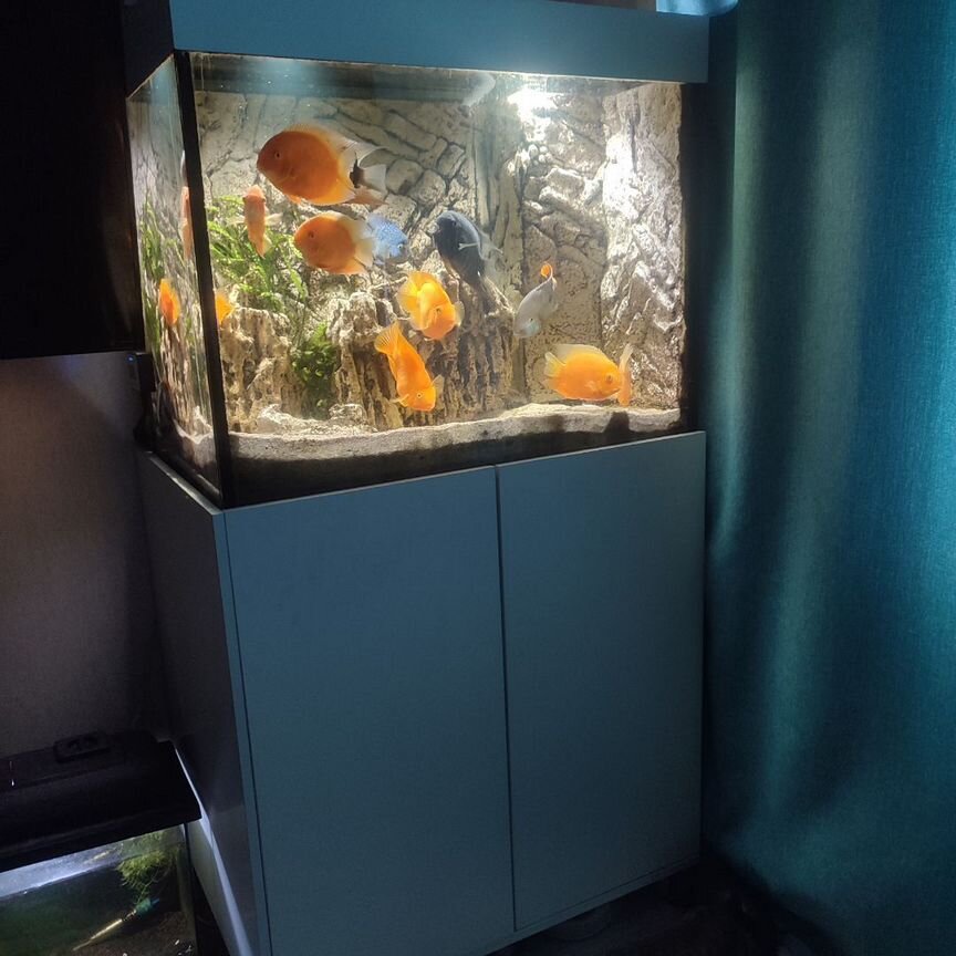 Аквариум 350л