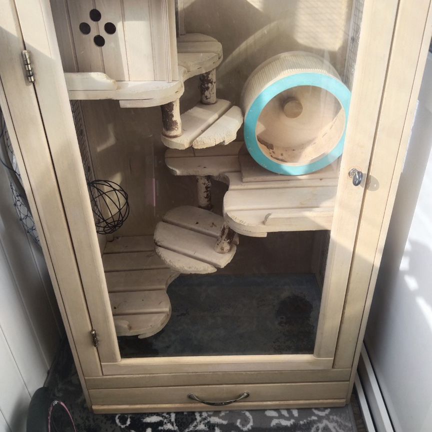 Клетка ветрина