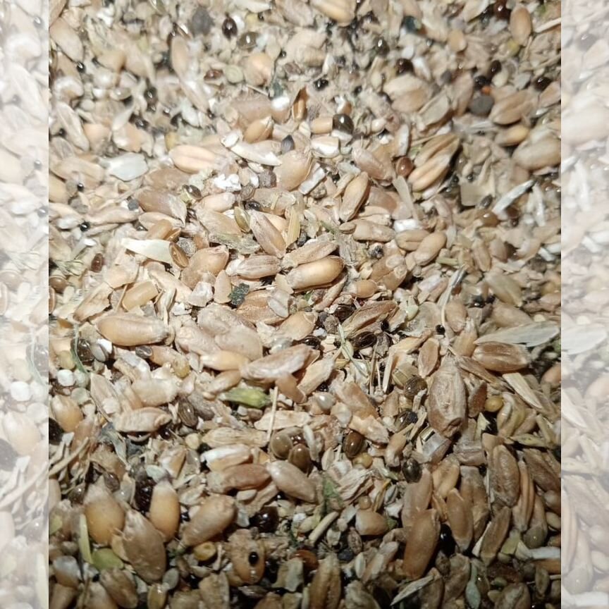 Зернотходы