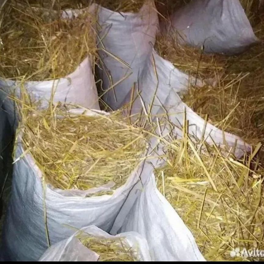 Солома в мешках Россошь