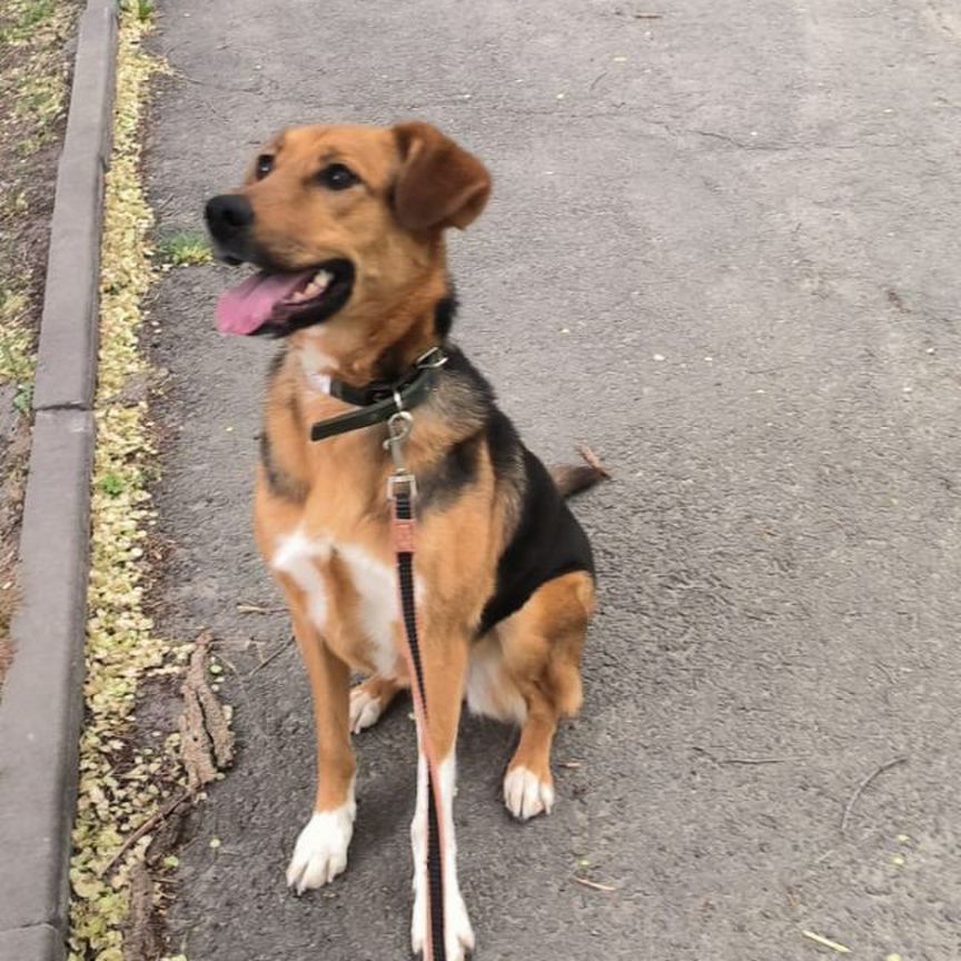 Красавица Пальма ищет семью