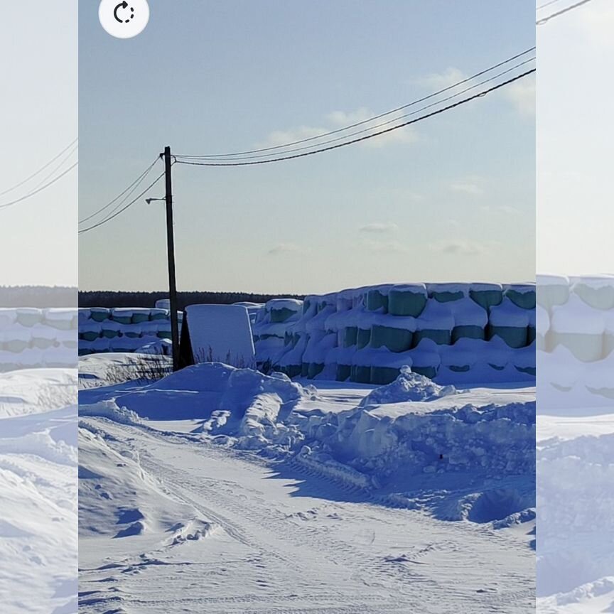 Продается корм для животных