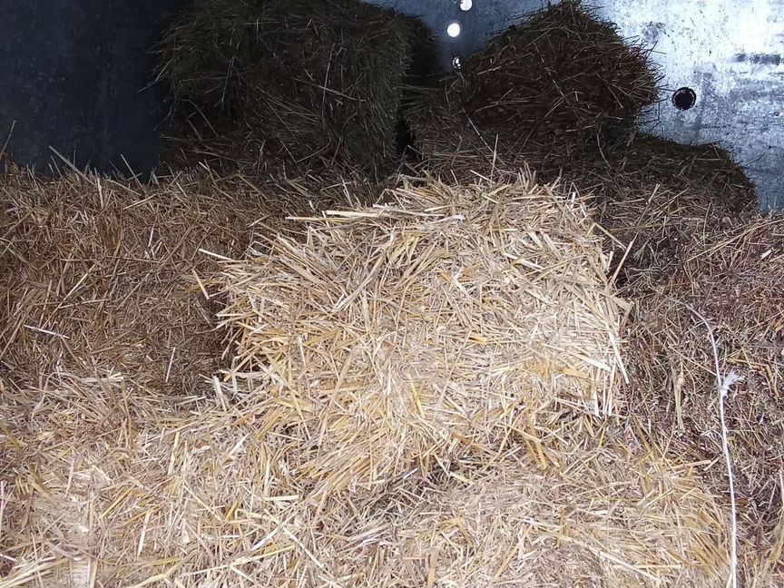 Солома сено в мешках