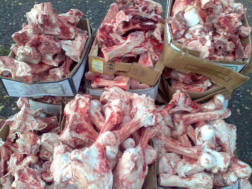 Кости для собак