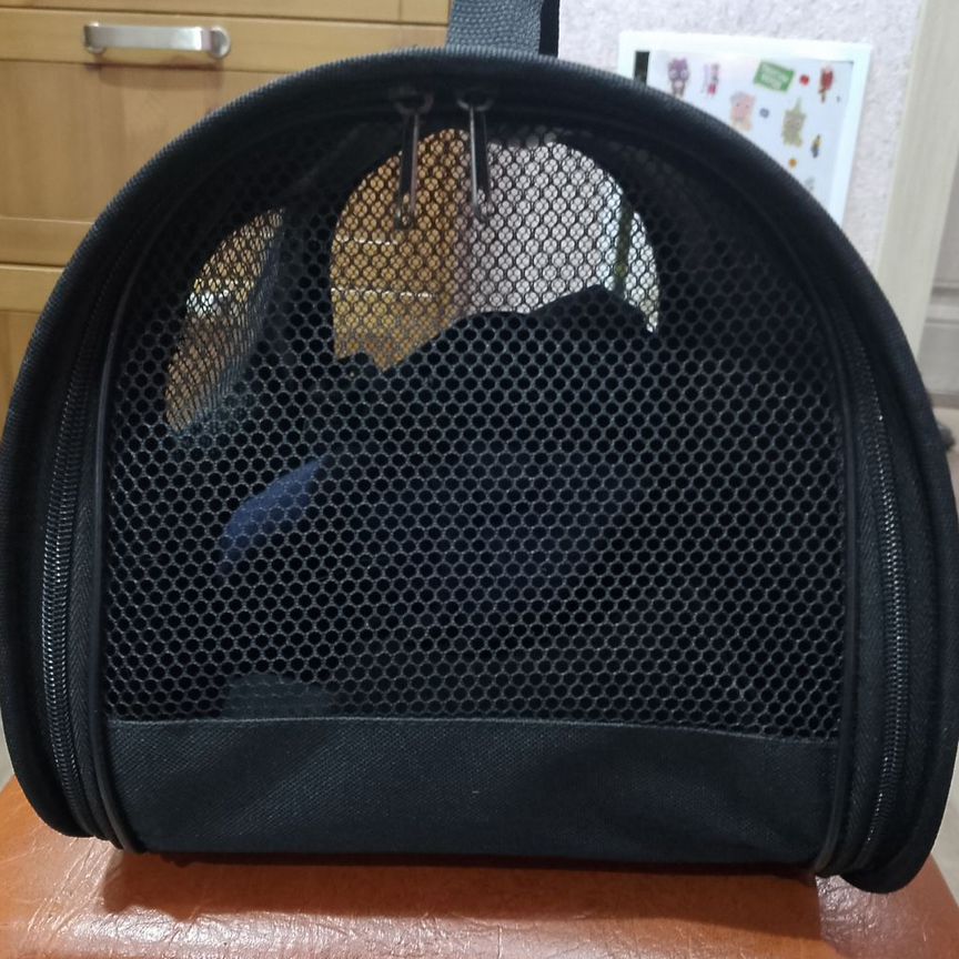 Переноска для кошек