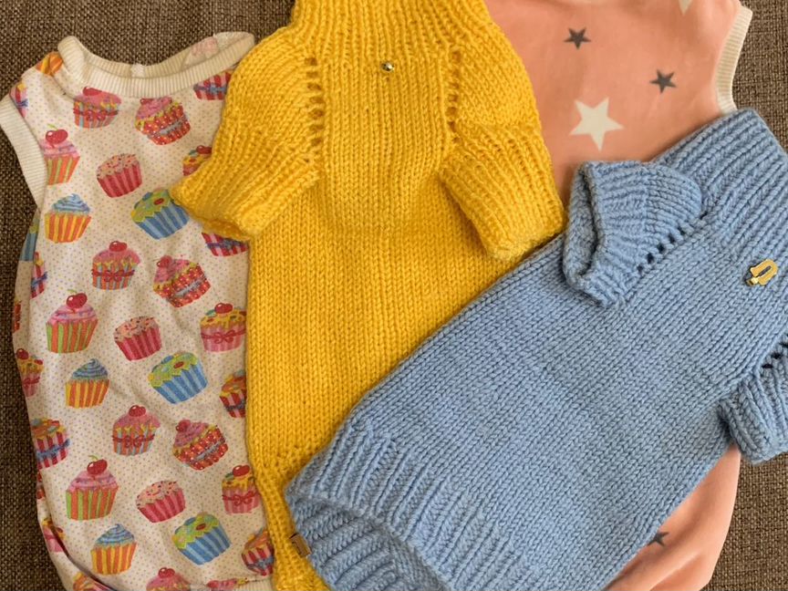 Одежда для сфинкса