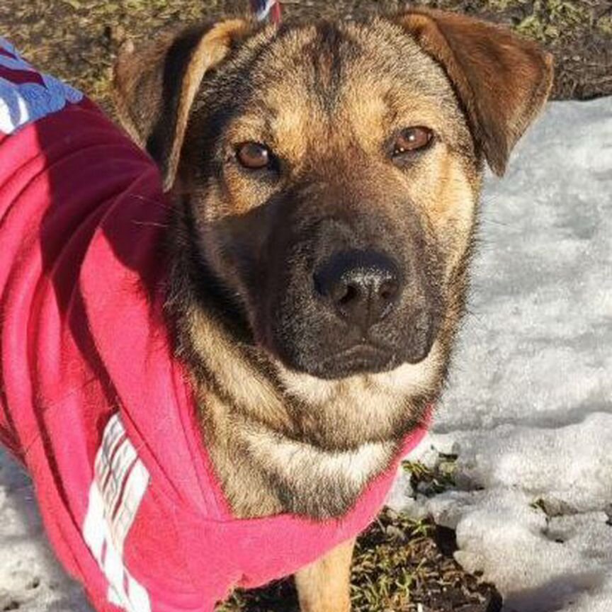 Вы за мной Я уже собралась домой