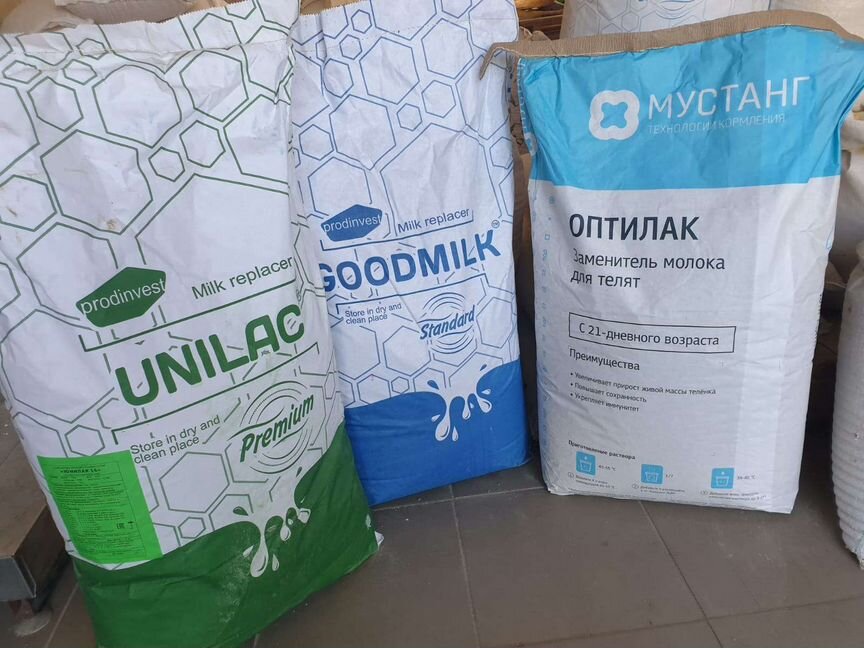 Зцм мустанг