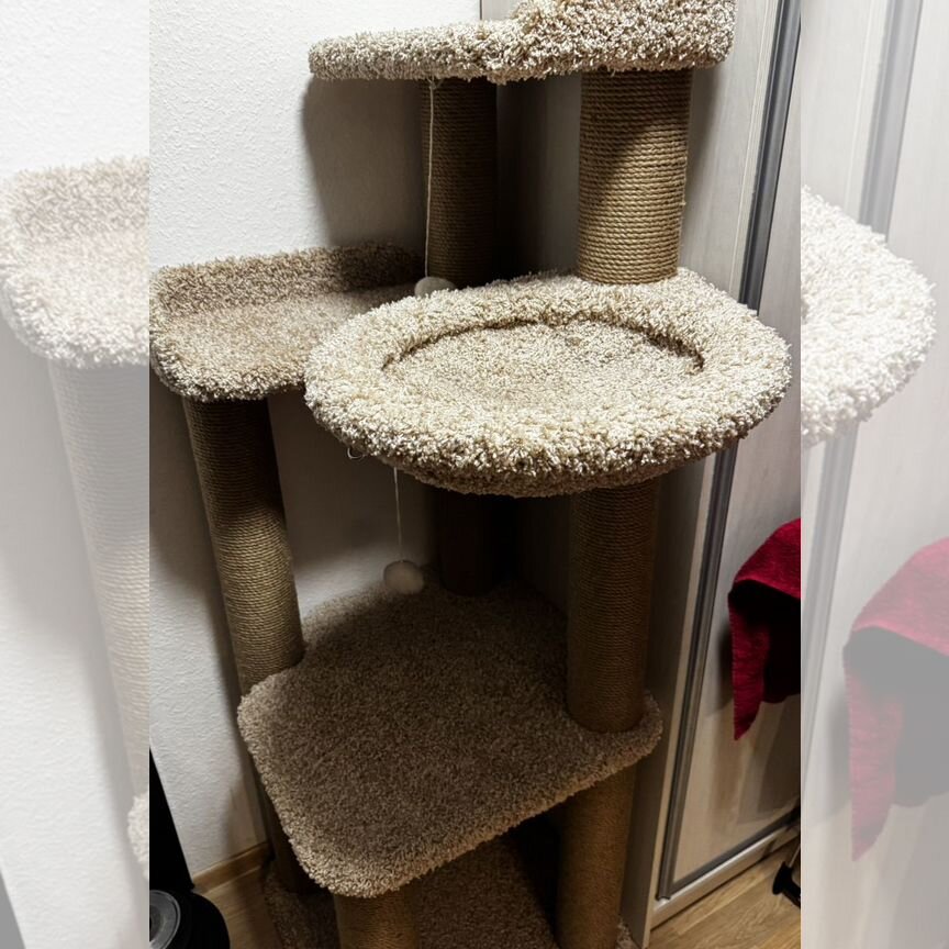 Домик когтеточка