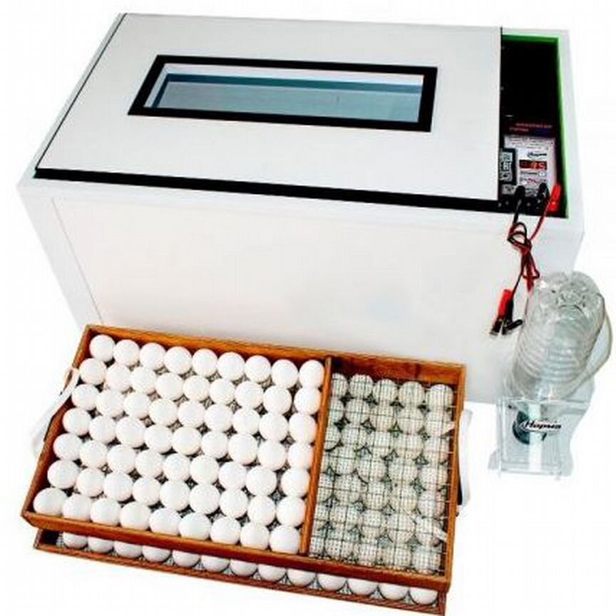 Инкубатор Норма урал на 200 яиц