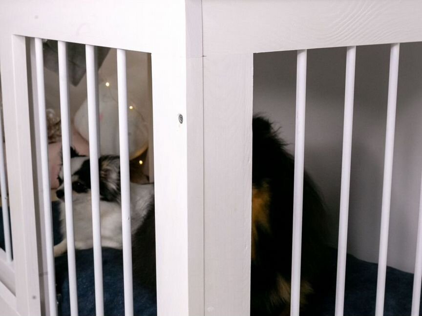 Вольеры для собак от производителя