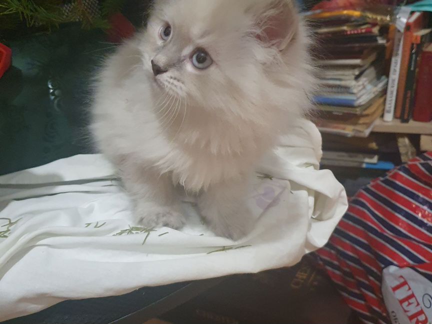 Невская маскарадная