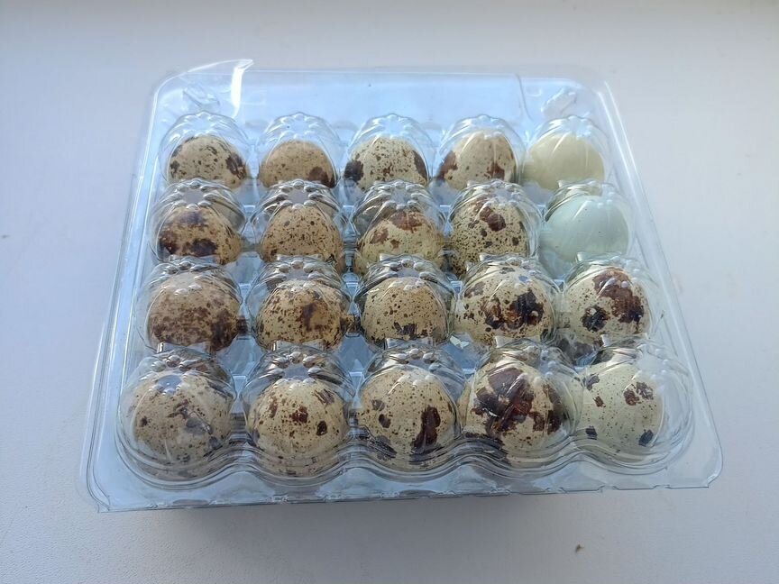 Яйца перепелиные