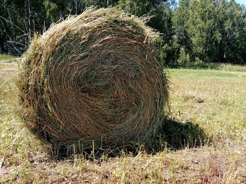Сено обм. на стройматер доски дрова зерно