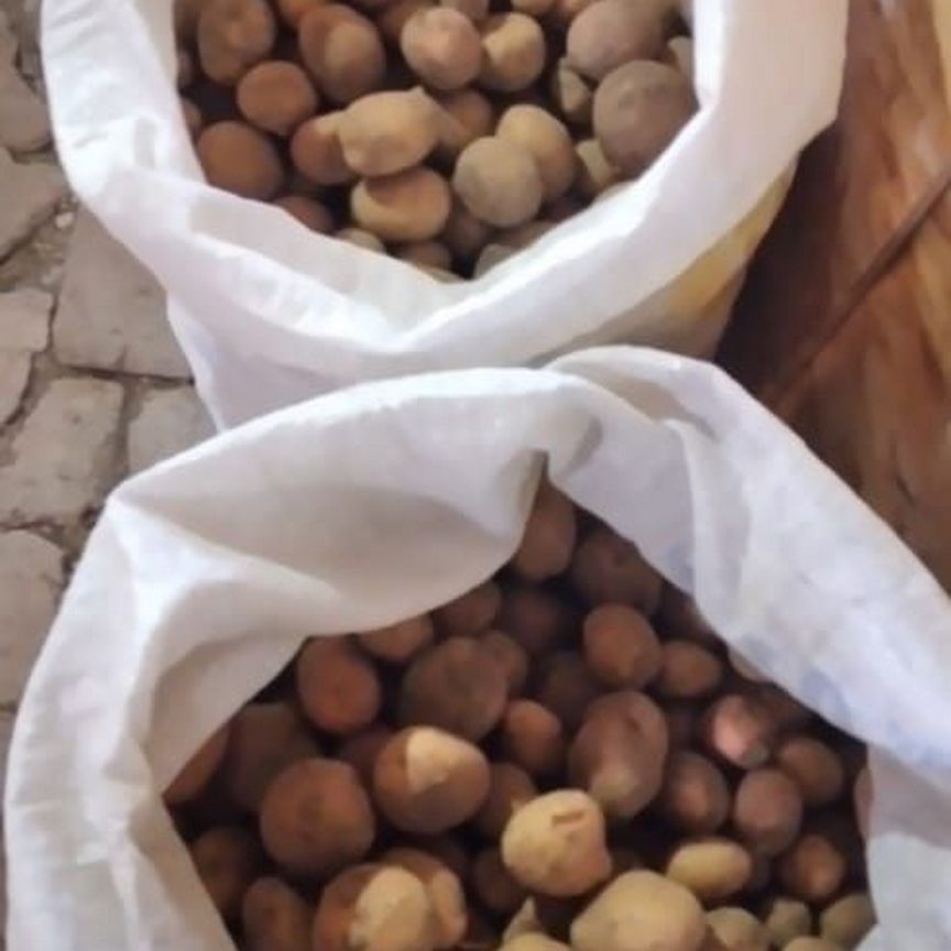 Продам картофель на корм скоту